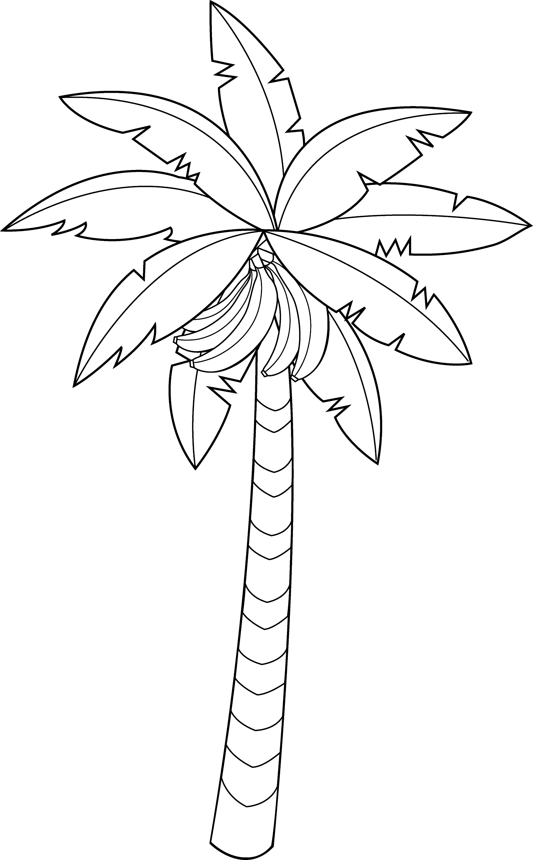 Banana Tree Line Art Free Clip Art