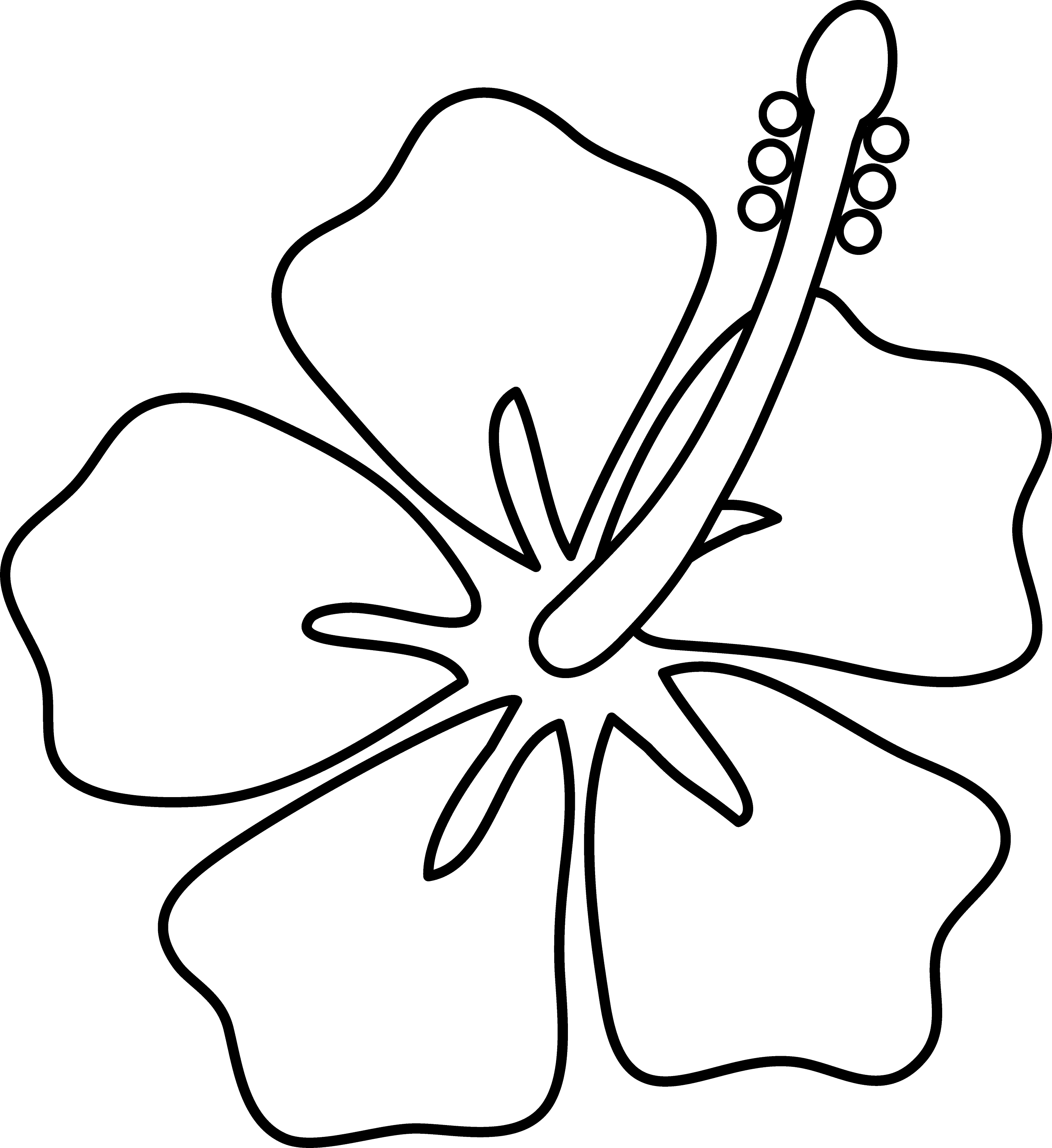 Hibiscus Flower Line Art Free Clip Art